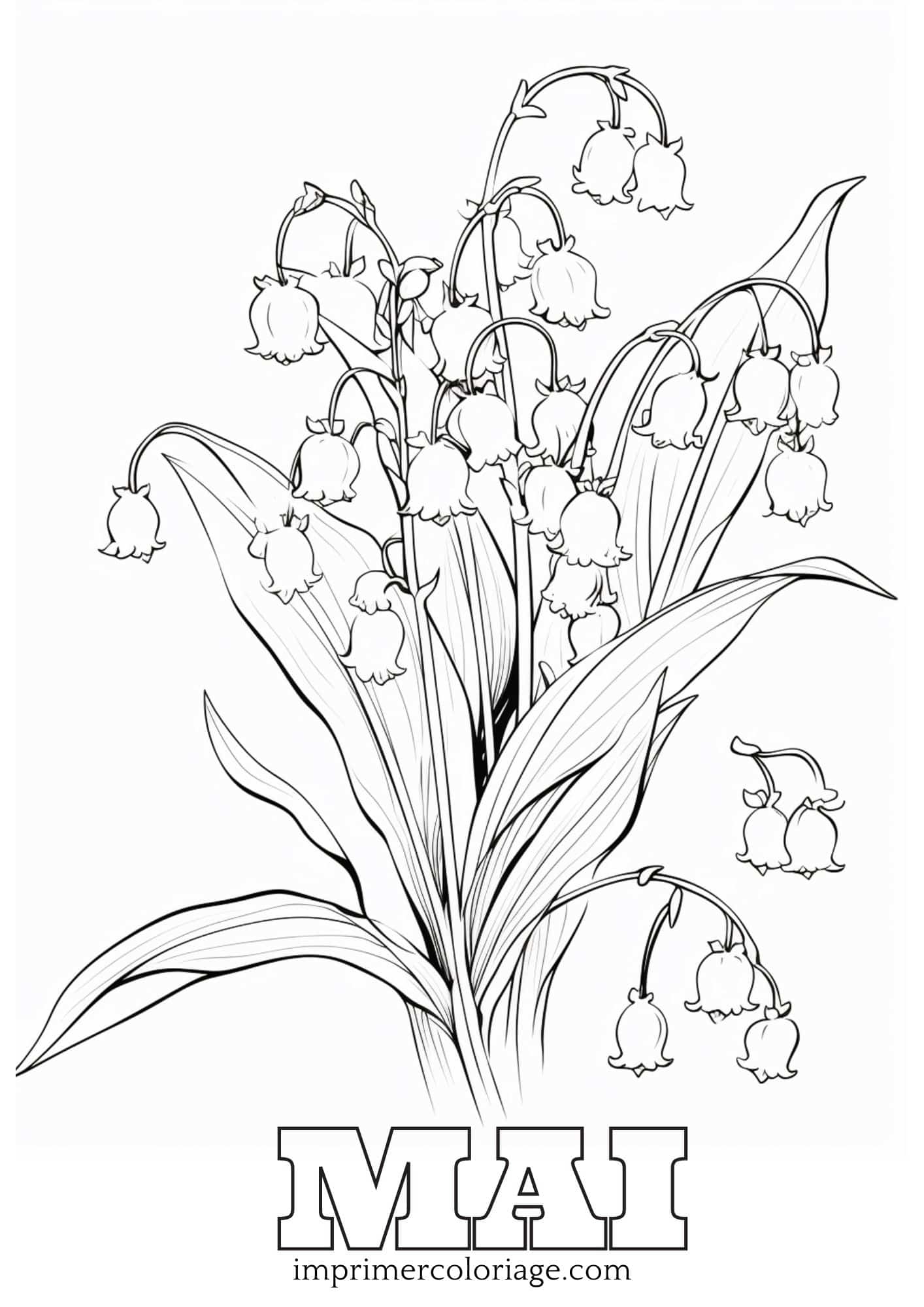 Coloriage MAI | Imprimer un coloriage gratuit